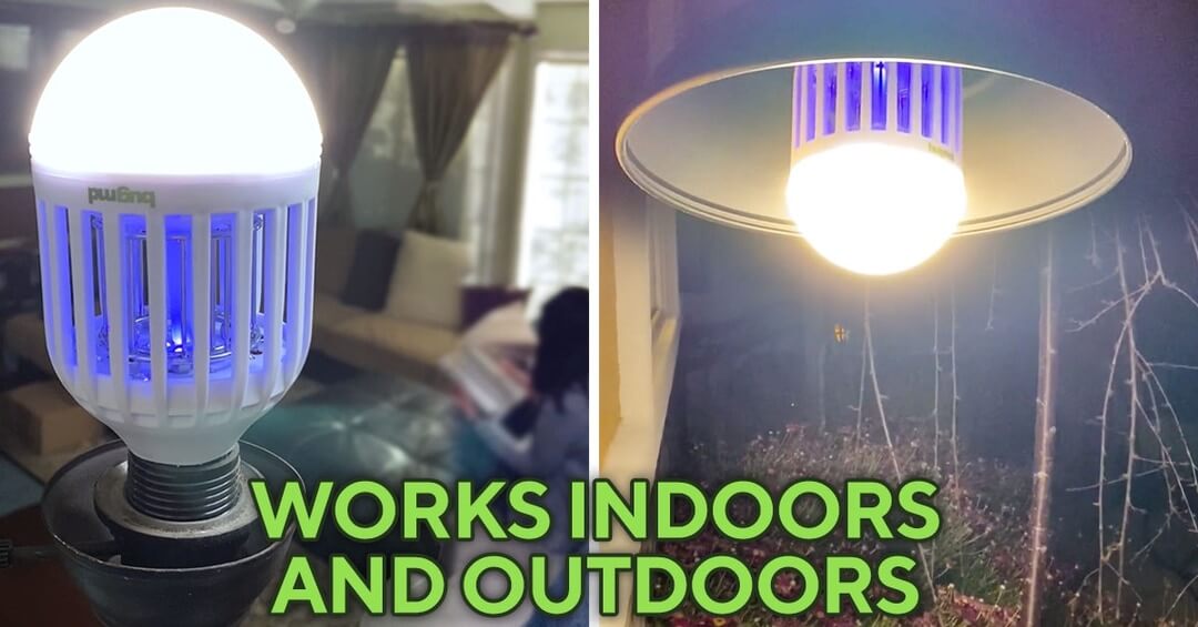 BugMD: ZapVille Bulb